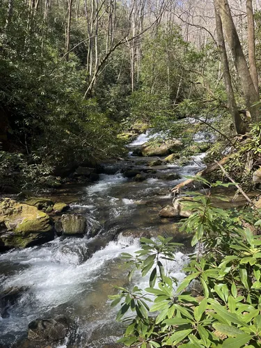 Best River Trails in Tiger | AllTrails