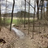 Salt Run, Ohio - 1,174 Reviews, Map | AllTrails