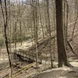Salt Run, Ohio - 1,174 Reviews, Map | AllTrails