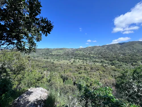 Best Moderate Trails in Garland Ranch Regional Park | AllTrails