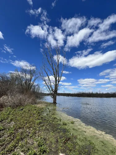 Best Hikes and Trails in Gilmore Ponds Preserve | AllTrails