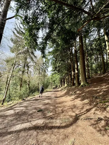 Best Wild Flowers Trails in Lickey Hills Country Park | AllTrails