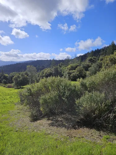 Best Walking Trails in Wunderlich County Park | AllTrails