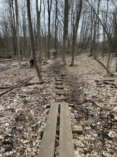 Best Hikes and Trails in Carp Hills Municipal Nature Reserve | AllTrails