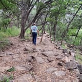 Mount Bonnell Trail, Texas - 1,038 Reviews, Map | AllTrails