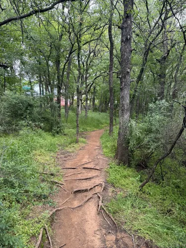 Best Mountain Biking Trails in Grapevine | AllTrails