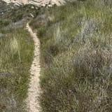 Mormon Rocks Interpretive Trail, California - 249 Reviews, Map | AllTrails