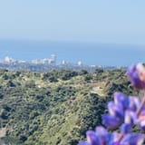 Getty View Trail, California - 907 Reviews, Map | AllTrails