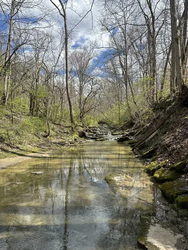 Best Lake Trails in East Fork State Park | AllTrails