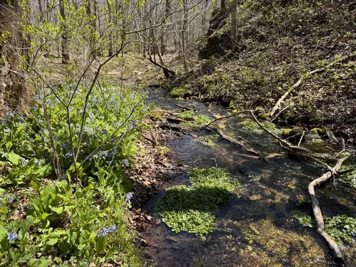 Best Cave Trails in Meramec State Park | AllTrails