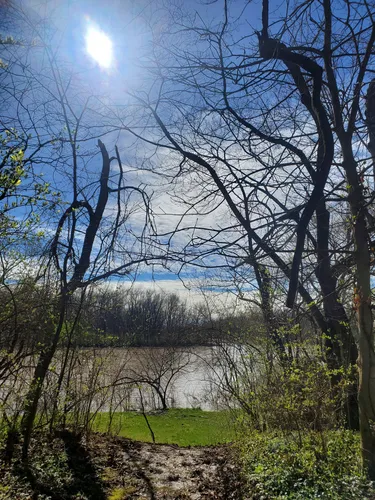 Best Hikes and Trails in Farnsworth Park | AllTrails