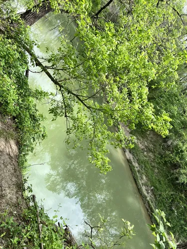 Best Forest Trails in Rowlett | AllTrails