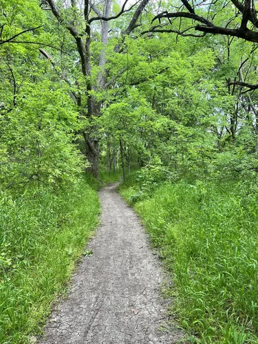 Best Forest Trails in Rowlett | AllTrails