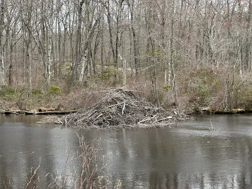 Best Walking Trails in Ivoryton | AllTrails