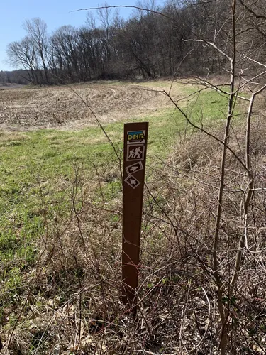 Best Wild Flowers Trails in Loess Hills State Forest - Little Sioux ...