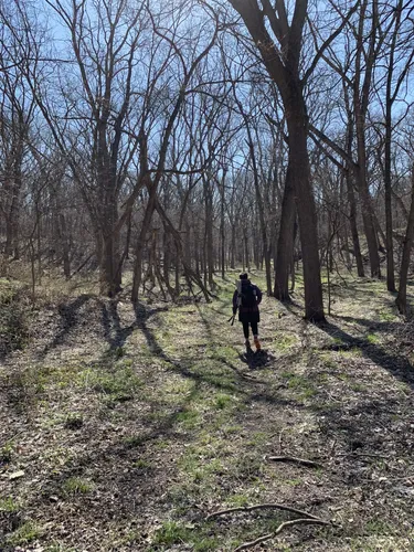 Best Wild Flowers Trails in Loess Hills State Forest - Little Sioux ...