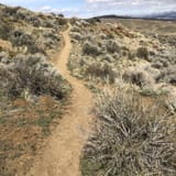 Keystone Canyon Trail, Nevada - 1,210 Reviews, Map | AllTrails