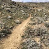 Keystone Canyon Trail, Nevada - 1,211 Reviews, Map | AllTrails