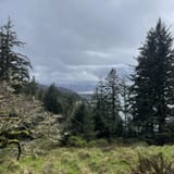 Clatsop Loop Trail from Indian Beach, Oregon - 2,667 Reviews, Map ...