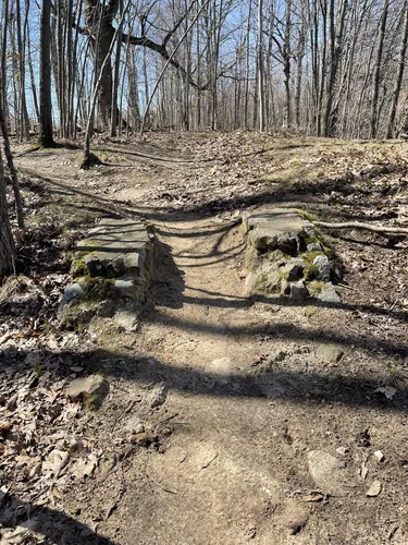 Best river trails in Alma | AllTrails