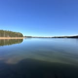 Nottely Reservoir Trail, Georgia - 994 Reviews, Map | AllTrails