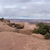 Grand View Point Trail, Utah - 5,172 Reviews, Map | AllTrails