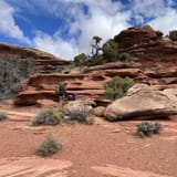 Grand View Point Trail, Utah - 5,172 Reviews, Map | AllTrails