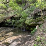 Mossy Ridge Trail, Tennessee - 6,616 Reviews, Map | AllTrails