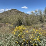 Dixie Summit Trail, Arizona - 1,534 Reviews, Map | AllTrails