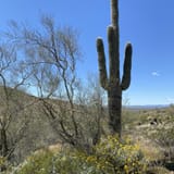 Dixie Summit Trail, Arizona - 1,534 Reviews, Map | AllTrails