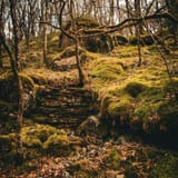 Capel Curig Circular, Conwy, Wales - 265 Reviews, Map | AllTrails