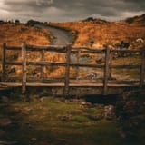 Capel Curig Circular, Conwy, Wales - 265 Reviews, Map | AllTrails