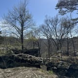 King's Bluff Loop Trail, Arkansas - 373 Reviews, Map | AllTrails