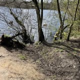 Bolam Lake and West Wood Circular, Northumberland, England - 75 Reviews ...