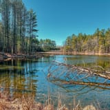Shingle Mill Pathway, Michigan - 255 Reviews, Map | AllTrails