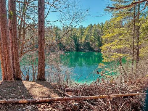 Best Hikes and Trails in Pigeon River Country State Forest | AllTrails