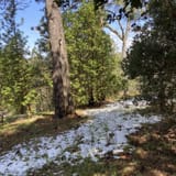 Frog Lake Loop Trail, California - 592 Reviews, Map | AllTrails