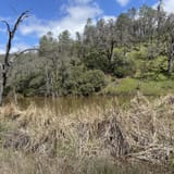 Frog Lake Loop Trail, California - 592 Reviews, Map | AllTrails