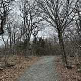Hawksbill Loop Trail, Virginia - 4,281 Reviews, Map | AllTrails