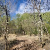 Alameda and Bachechi Open Space Walk, New Mexico - 160 Reviews, Map ...