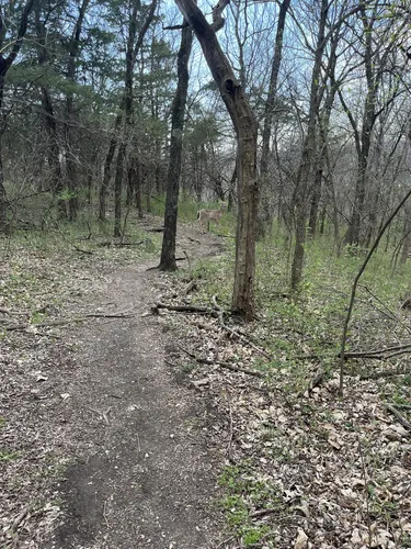 Best Mountain Biking Trails in Clinton State Park | AllTrails