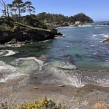 Point Lobos Loop, California - 7,494 Reviews, Map | AllTrails