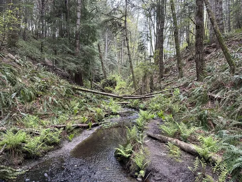 Best Hikes and Trails in Latoria Creek Park | AllTrails