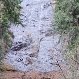 Skookum Flats Trail, Washington - 1,007 Reviews, Map | AllTrails