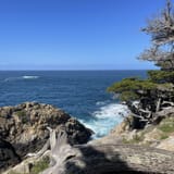 Point Lobos Loop, California - 7,494 Reviews, Map | AllTrails