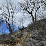 Reeves Brook Loop Trail, New York - 4,558 Reviews, Map | AllTrails