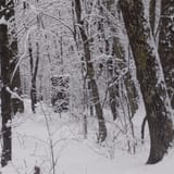 Mount Tremper Trail, New York - 1,544 Reviews, Map | AllTrails
