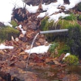 Mount Tremper Trail, New York - 1,544 Reviews, Map | AllTrails