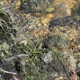 Stepstone Falls via Ben Utter Trail, Rhode Island - 1,566 Reviews, Map ...