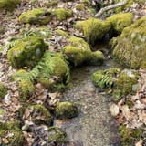 Stepstone Falls via Ben Utter Trail, Rhode Island - 1,566 Reviews, Map ...